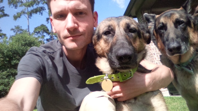 Ursula – Greater Houston German Shepherd Dog Rescue
