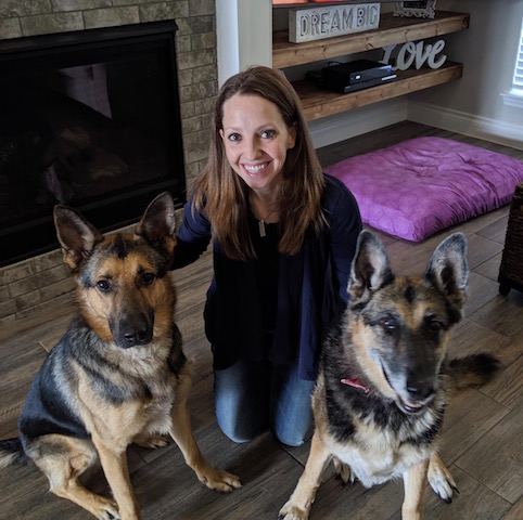 Sheldon – Greater Houston German Shepherd Dog Rescue