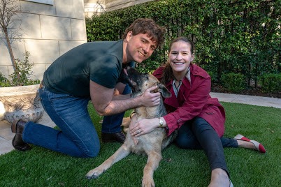 Sanders – Greater Houston German Shepherd Dog Rescue